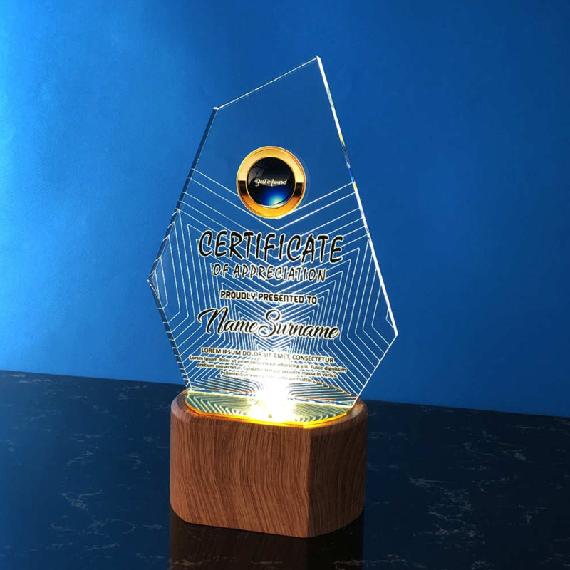 5056 Acrylic LED Lighting Trophy