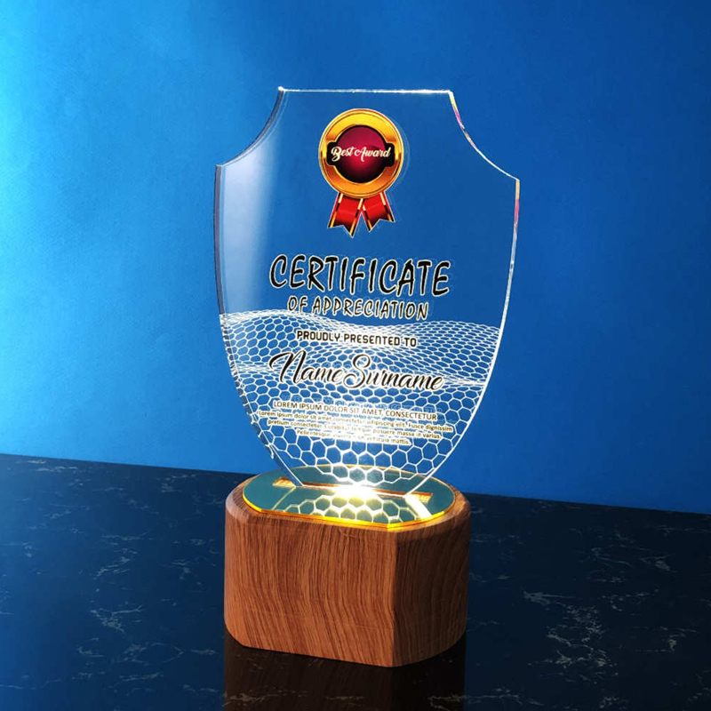 5057 Acrylic LED Lighting Trophy